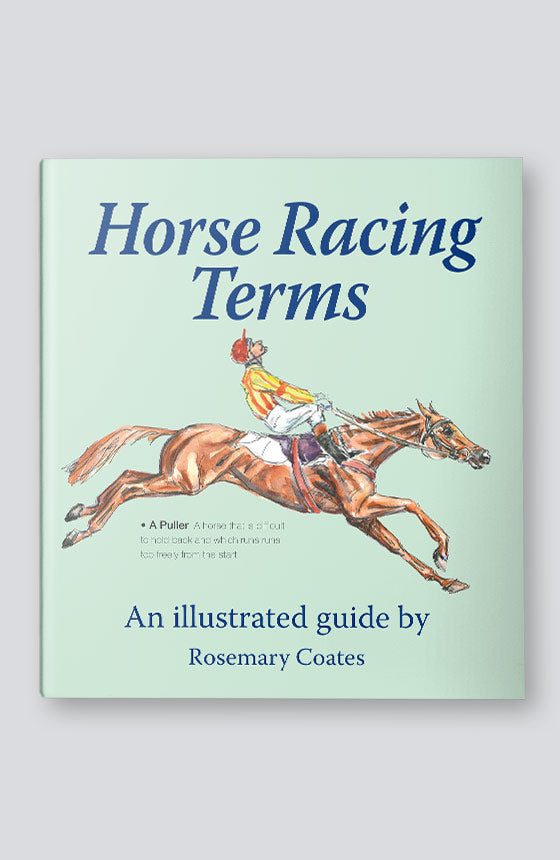 Horse Racing Terms (HB) – Racing Post